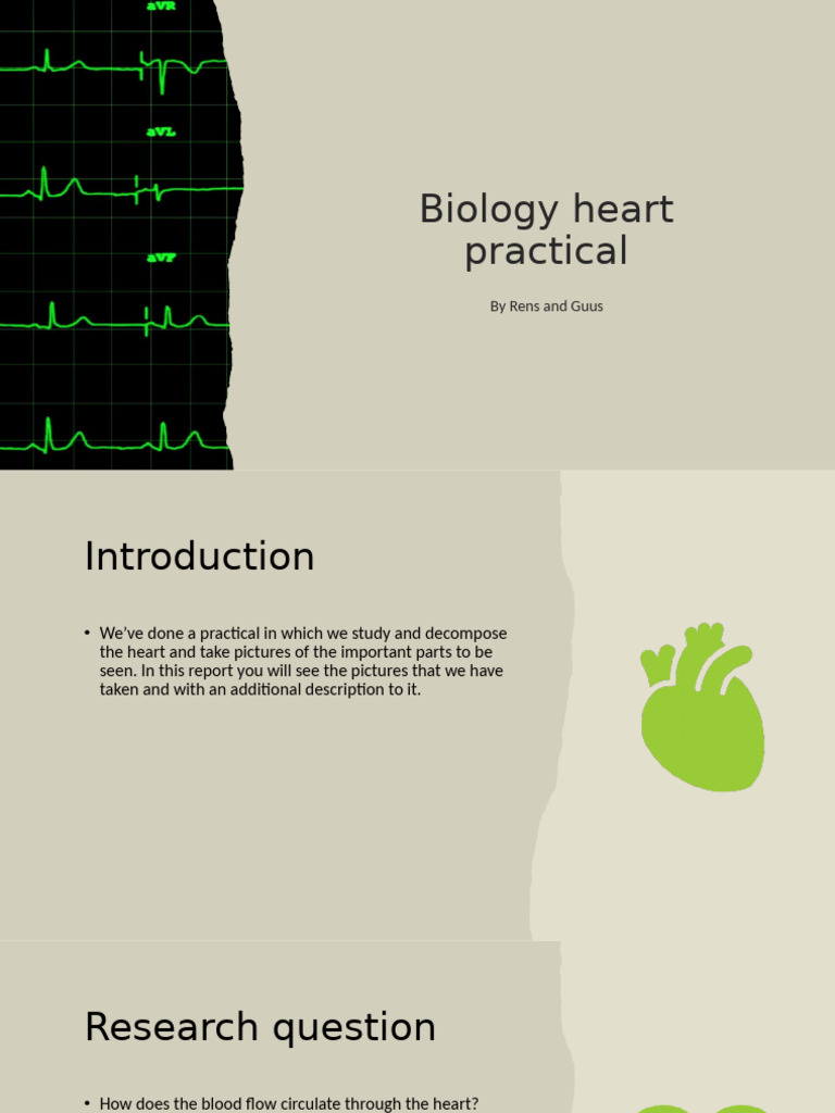 Biology Heart Practical | PDF | Heart Valve | Heart