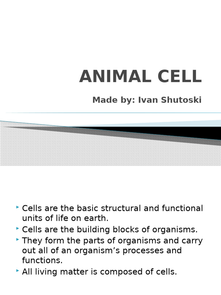 ANIMAL CELL IVAN | PDF