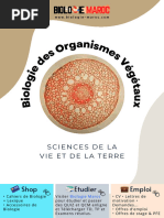 Le Carpelle : Organe des Angiospermes | PDF | Fruit | Embryon