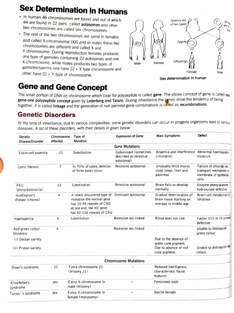 Adobe Scan 19 Jan 2025 | PDF | Genetic Disorder | Genetics