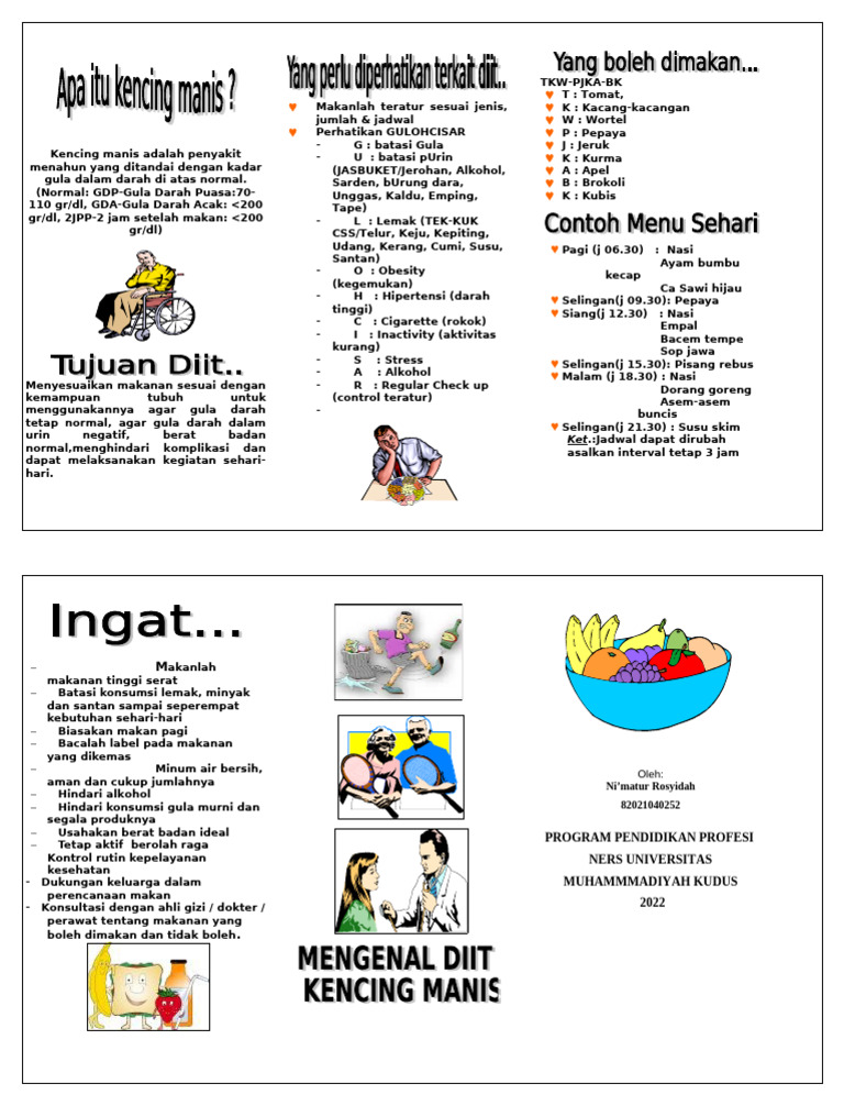 Leaflet Diit DM | PDF