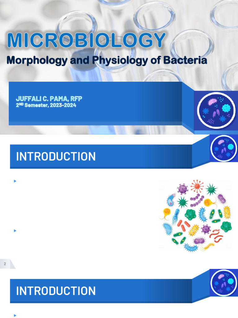Microbio | PDF | Bacteria | Microscopy