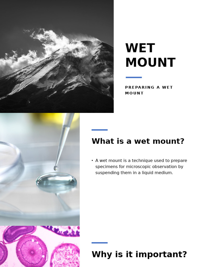 Wet Mount | PDF | Cell (Biology) | Tissue (Biology)