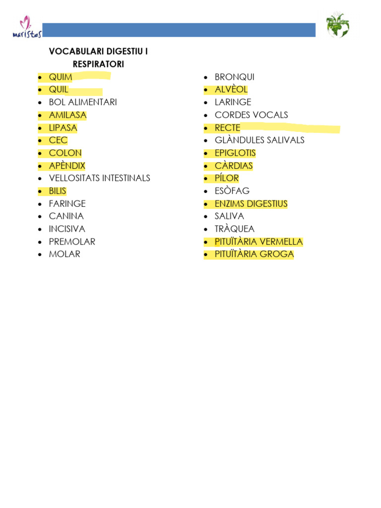 Rub 2425 En3 BG Vocabulari | PDF