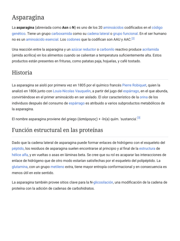 Asparagina: Función y Fuentes | PDF | Bioquímica | Química