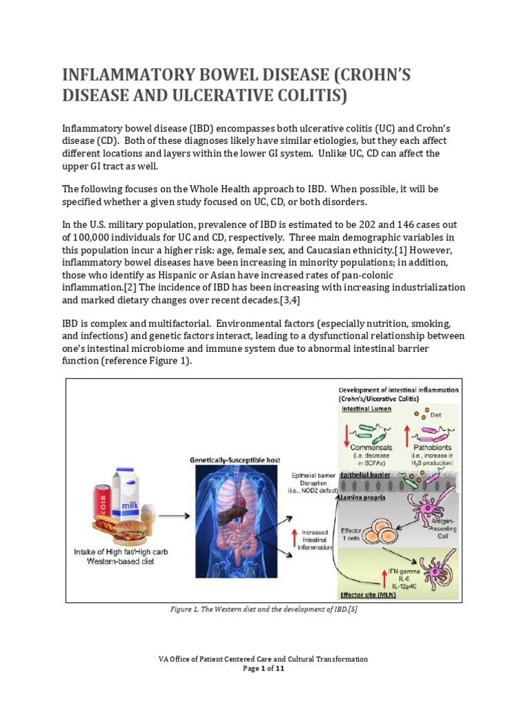 Whole Health Approach to IBD Management | PDF | Inflammatory Bowel ...