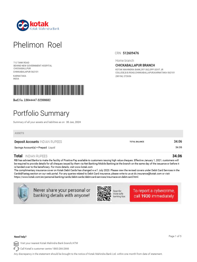 Phelimon Roel: Portfolio Summary | PDF | Banks | Payments