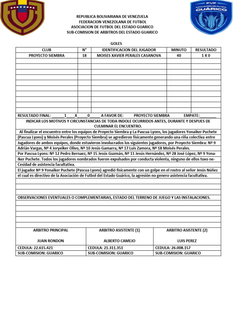 Informe Arbitral Final Supercopa Sub-17 | PDF