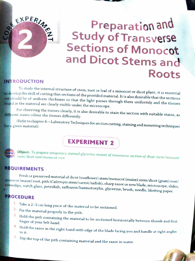 Bio Practical 2 | PDF