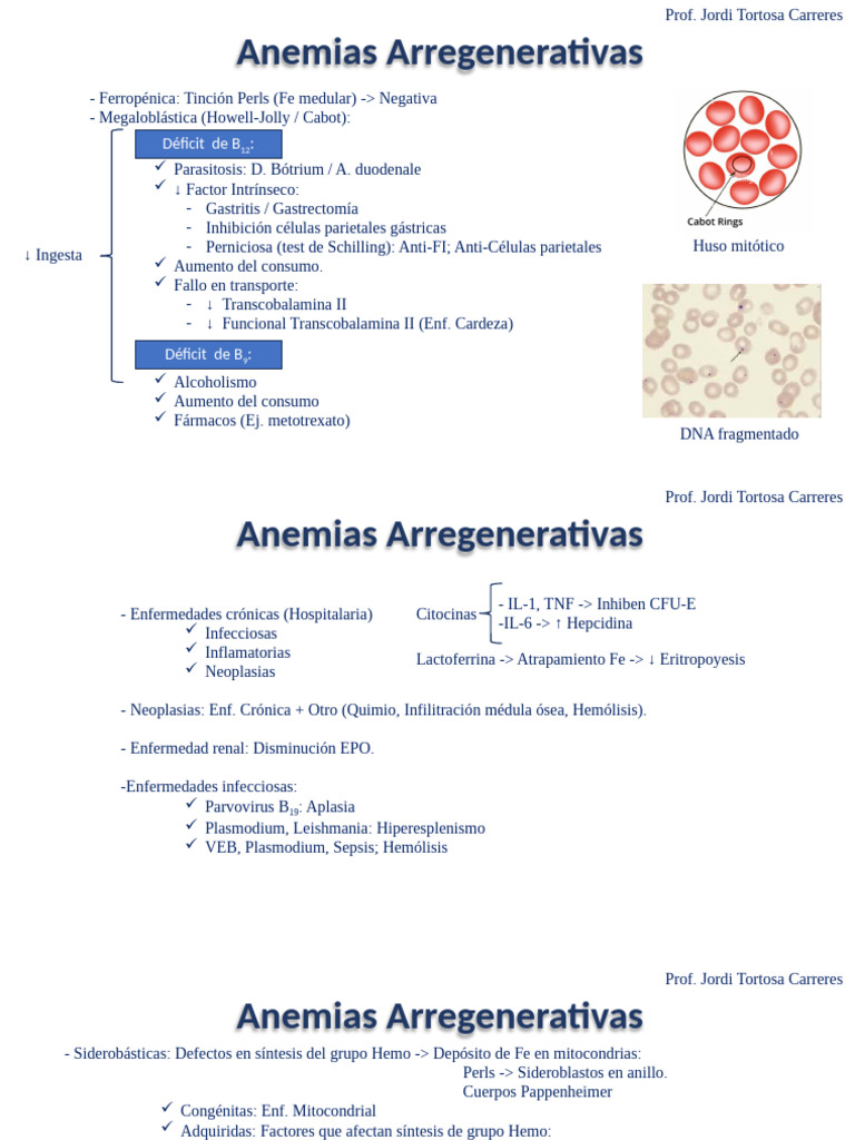 2_Anemias | PDF | Especialidades Medicas | Hematología