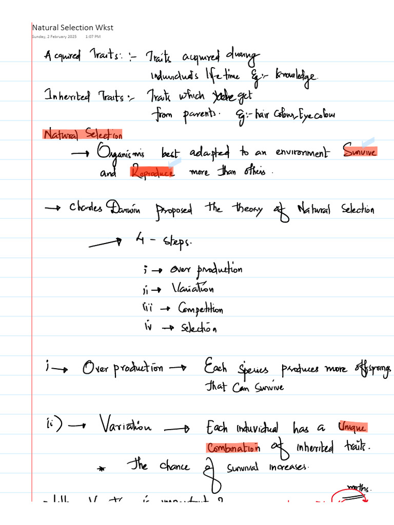 Natural Selection Worksheet | PDF