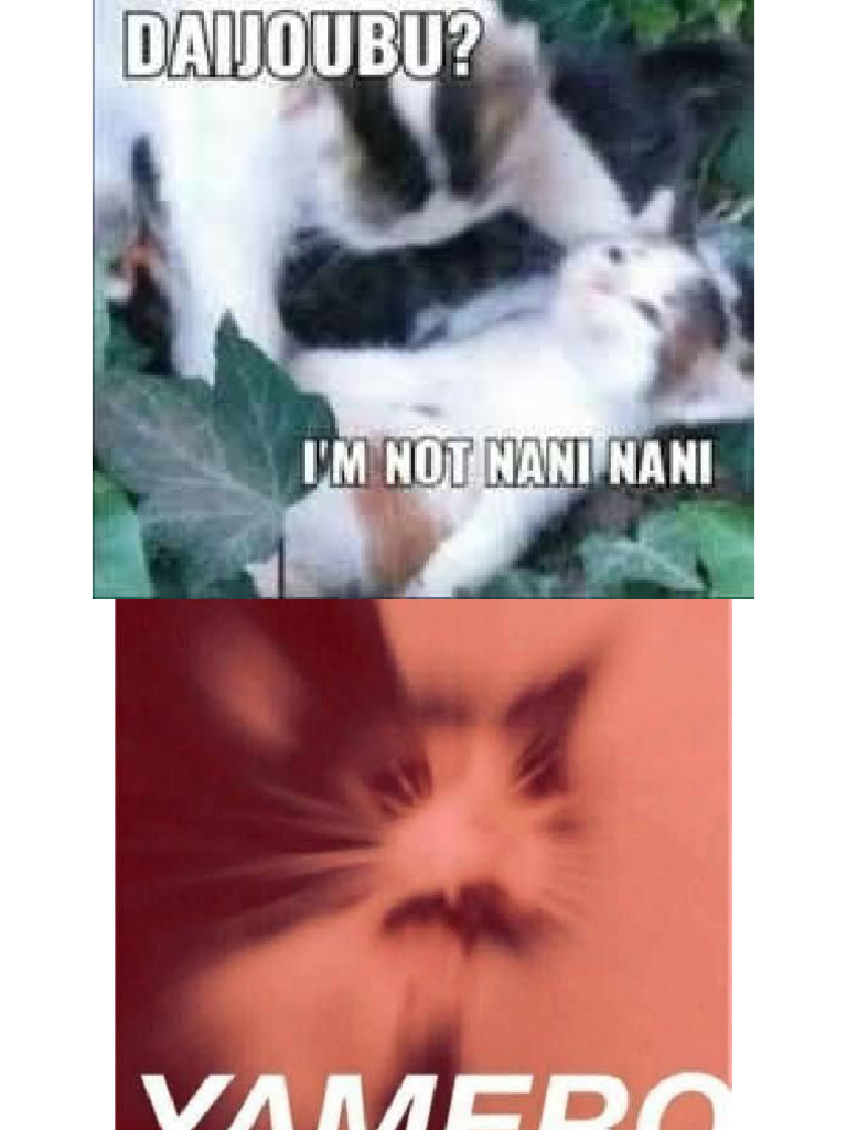 Image To PDF 20250206 17.59.21 | PDF