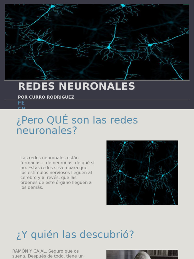 Introducción a Redes Neuronales | PDF