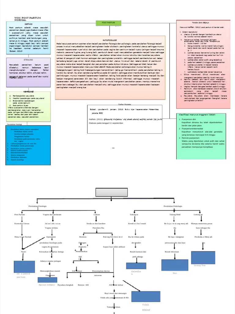 PDF Woc Post Partum 1 - Compress | PDF