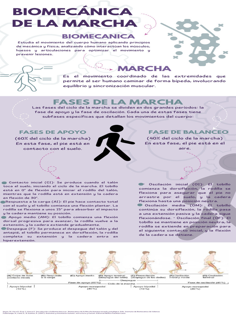 Biomecánica de La Marcha | PDF | Tobillo | Pie
