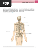 Chapman Points Table | PDF | Anatomical Terms Of Location | Neck