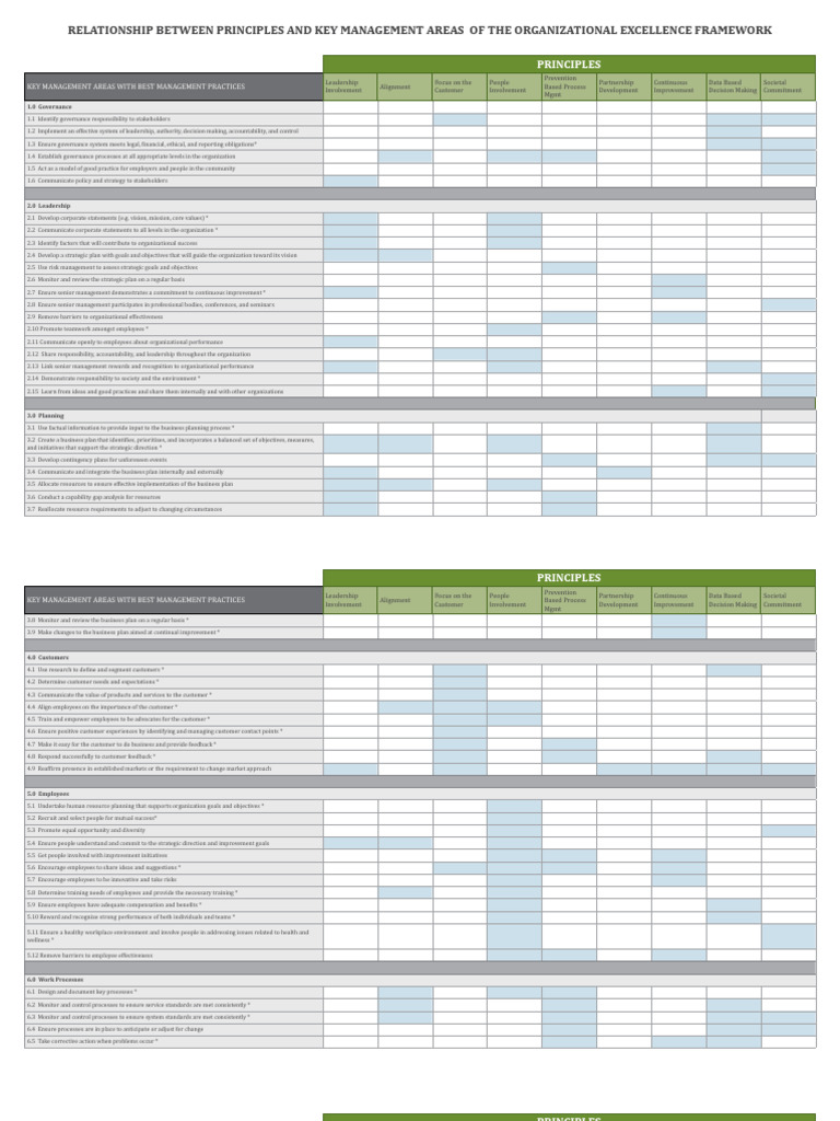 Key Management Areas for Organizational Excellence | PDF | Governance ...