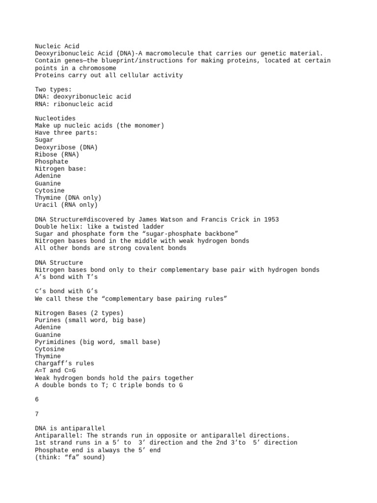 Dna Structure And Replication Pdf Dna Dna Replication