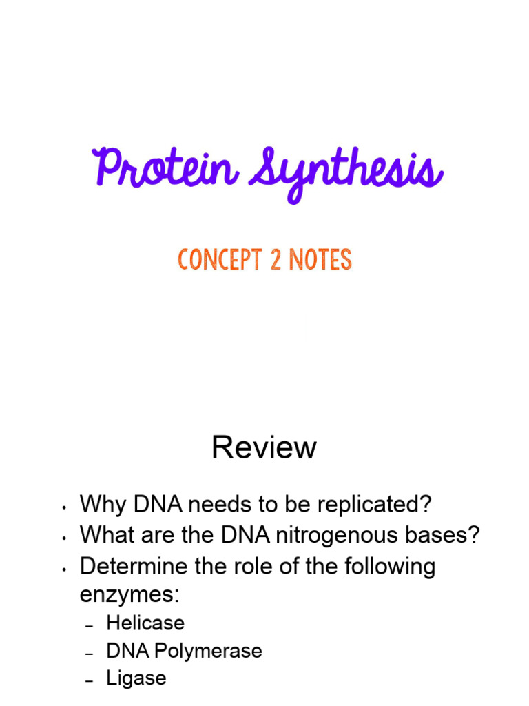 Presentation Notes - Protein Synthesis | PDF | Translation (Biology ...