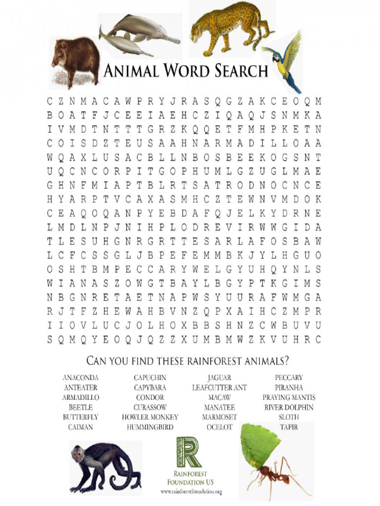Rainforest Animals Word Search | PDF
