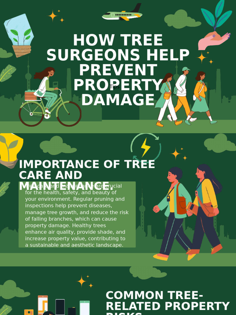 Tree Surgeons: Preventing Property Damage | PDF
