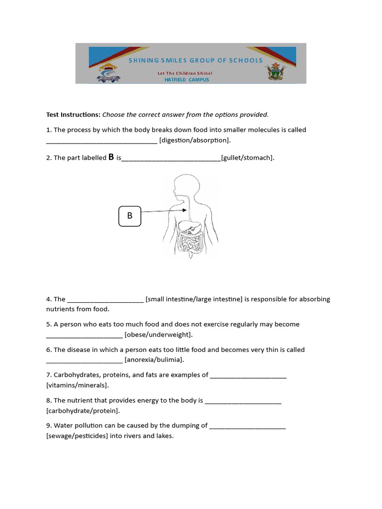 Science and Technology Fortnight Test 2 | PDF | Digestion | Foods
