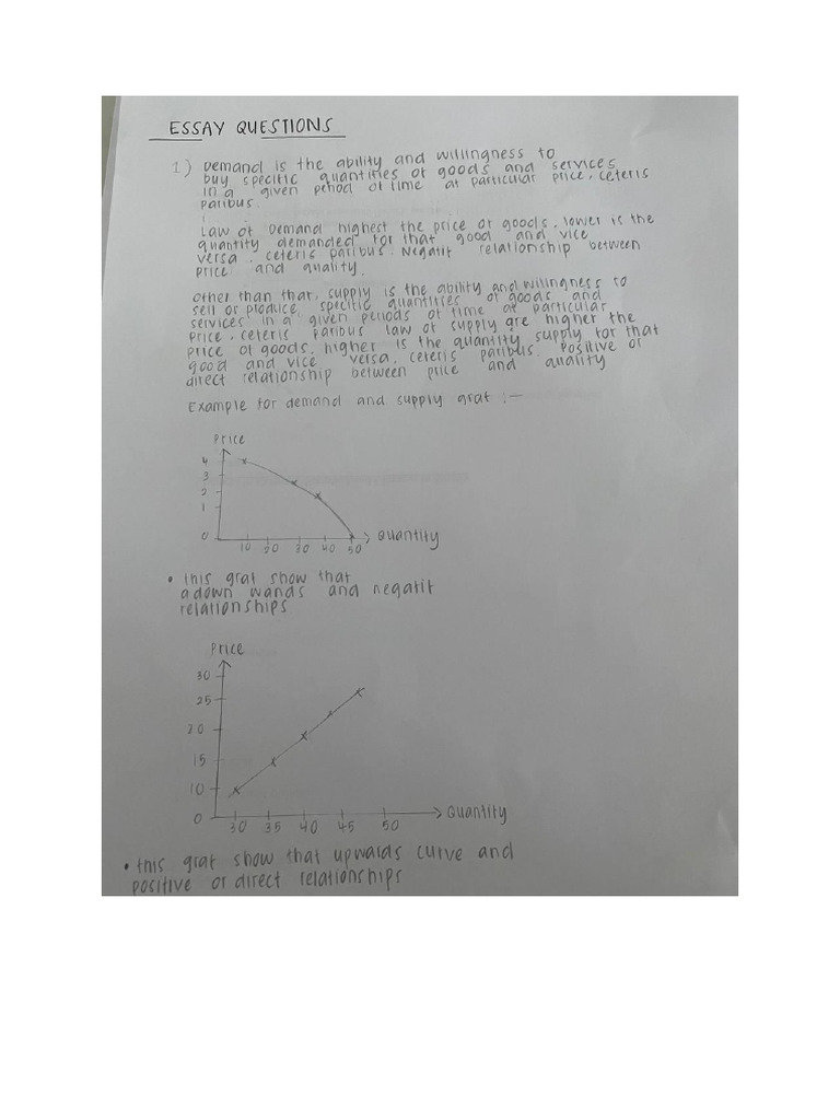 Essay Questions | PDF