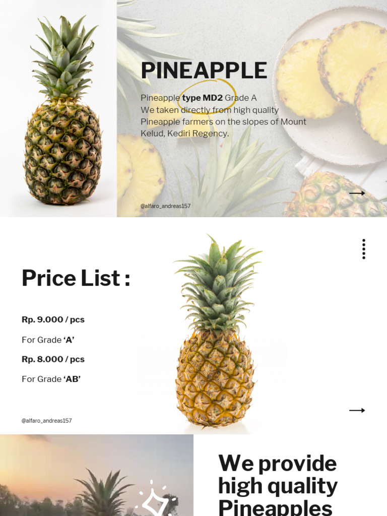 Pineapple.product | PDF