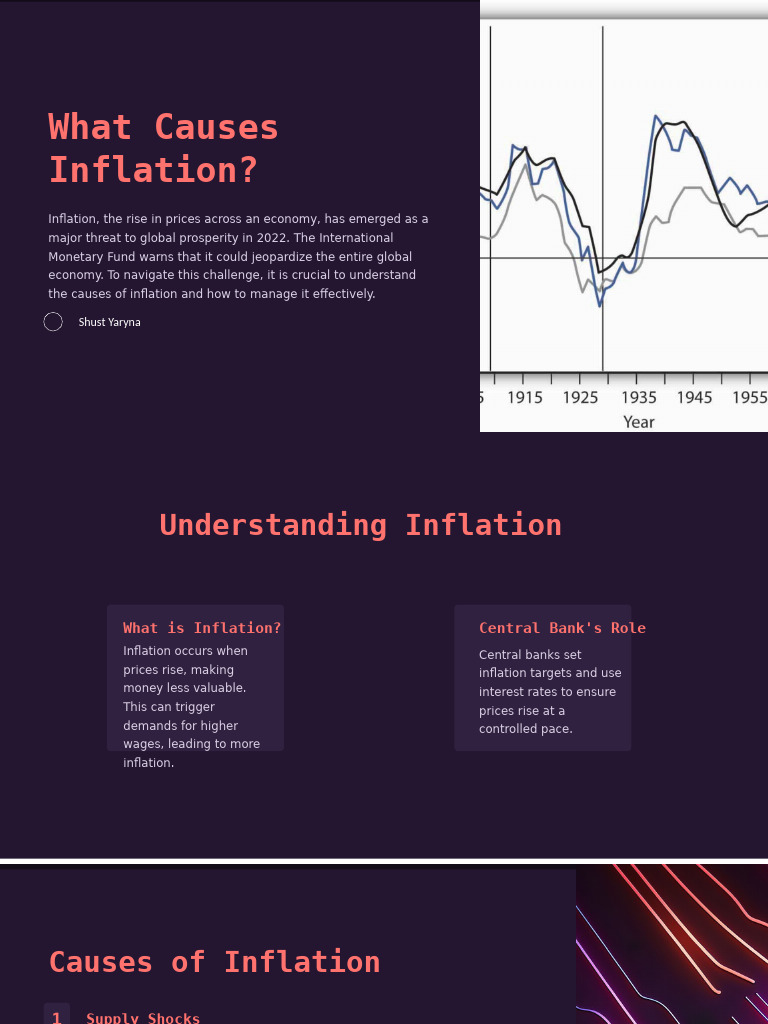 What Causes Inflation | PDF | Inflation | Monetary Policy