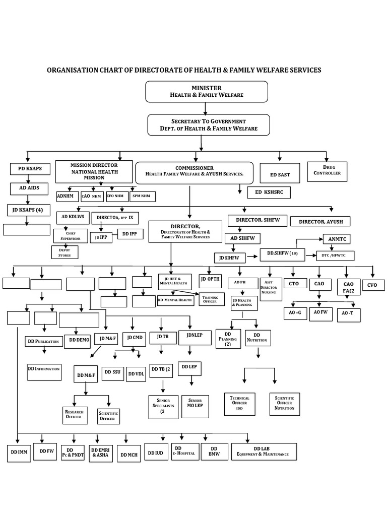 District Health Organization Chart | PDF | Health Care | Clinical Medicine