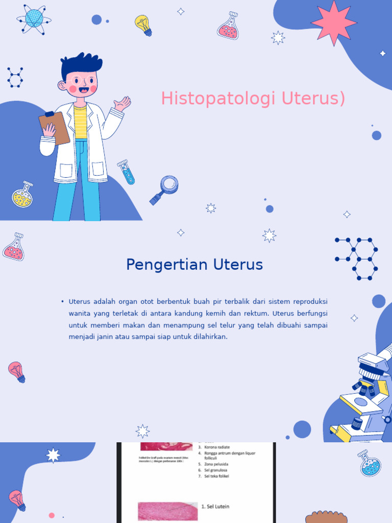 Uterus | PDF