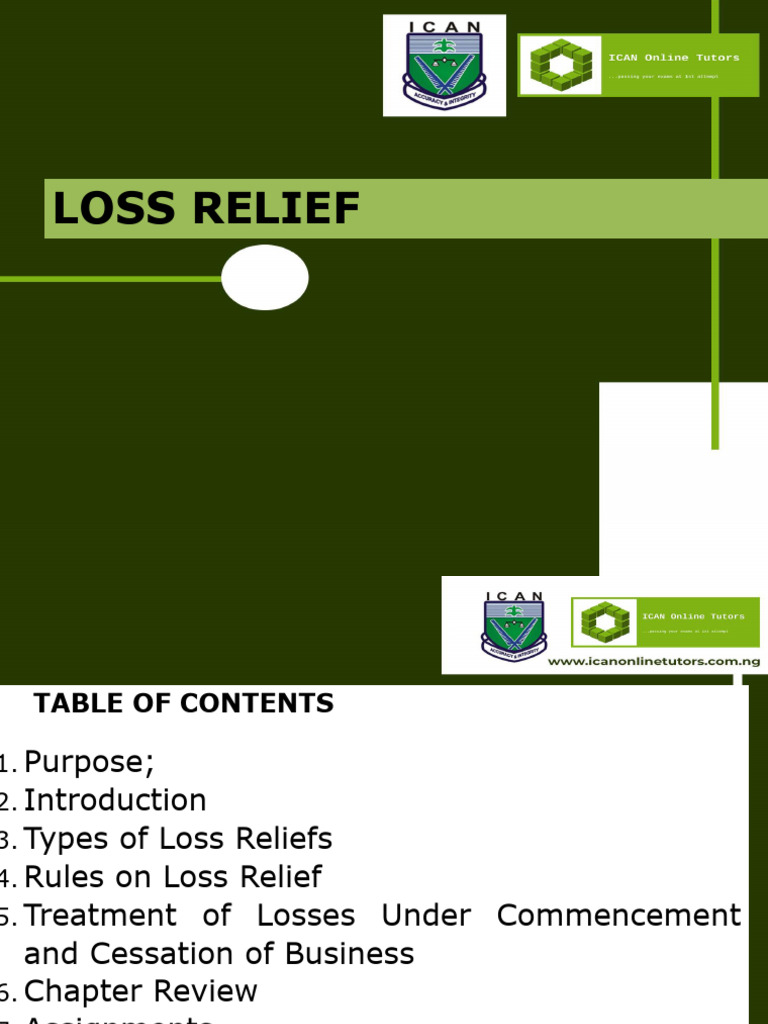 Loss Relief | PDF