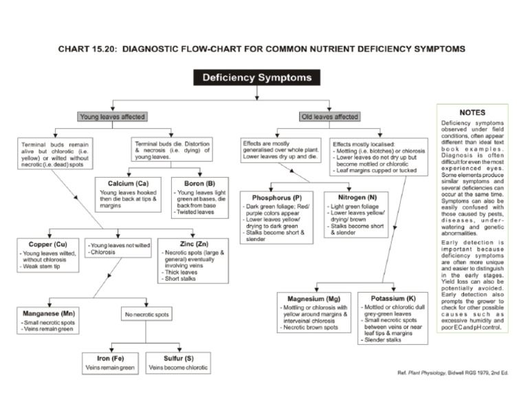 Nutrient Deficiency Chart Flowform | PDF