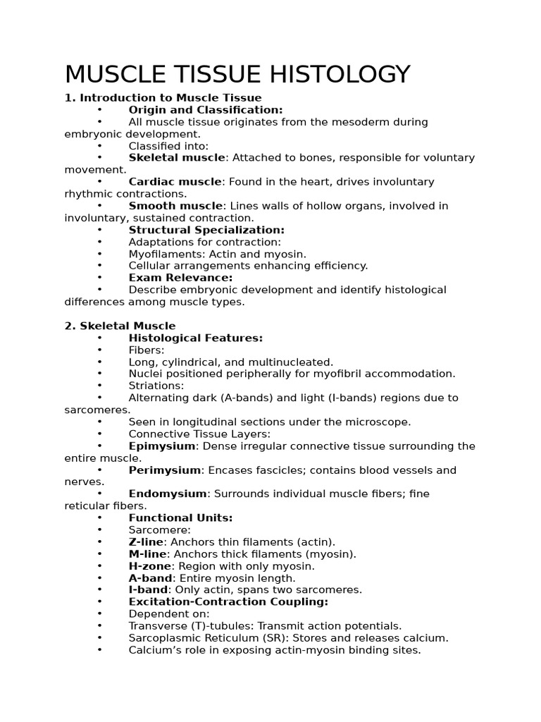 MUSCLE TISSUE HISTOLOGY | PDF | Muscle Contraction | Skeletal Muscle
