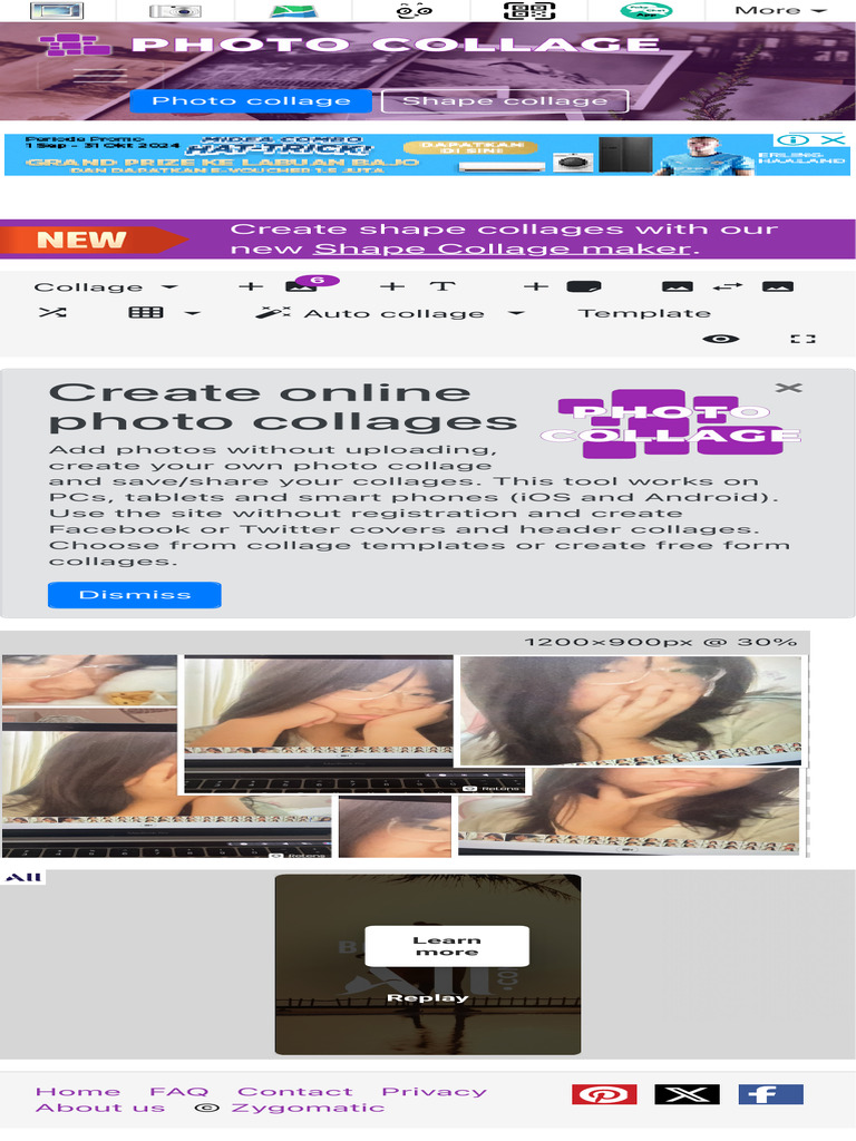 Create Online Photo Collages | PDF