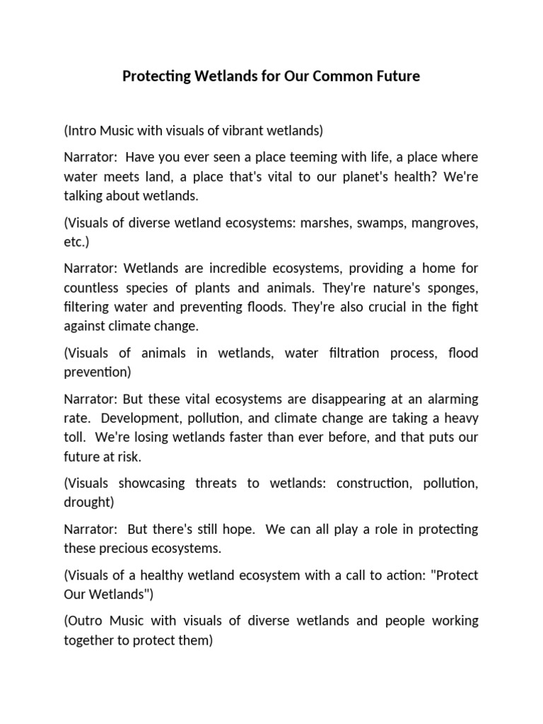 Protecting Wetlands for Our Common Future | PDF