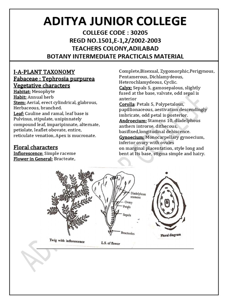 Botany Practicals Material-Ajc | PDF | Leaf | Plant Reproduction
