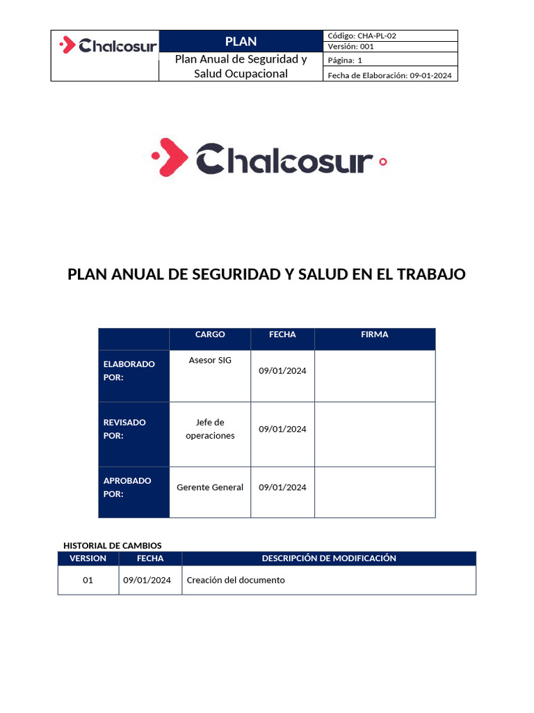 Plan Seguridad y Salud 2024 | PDF | Seguridad y salud ocupacional | Business