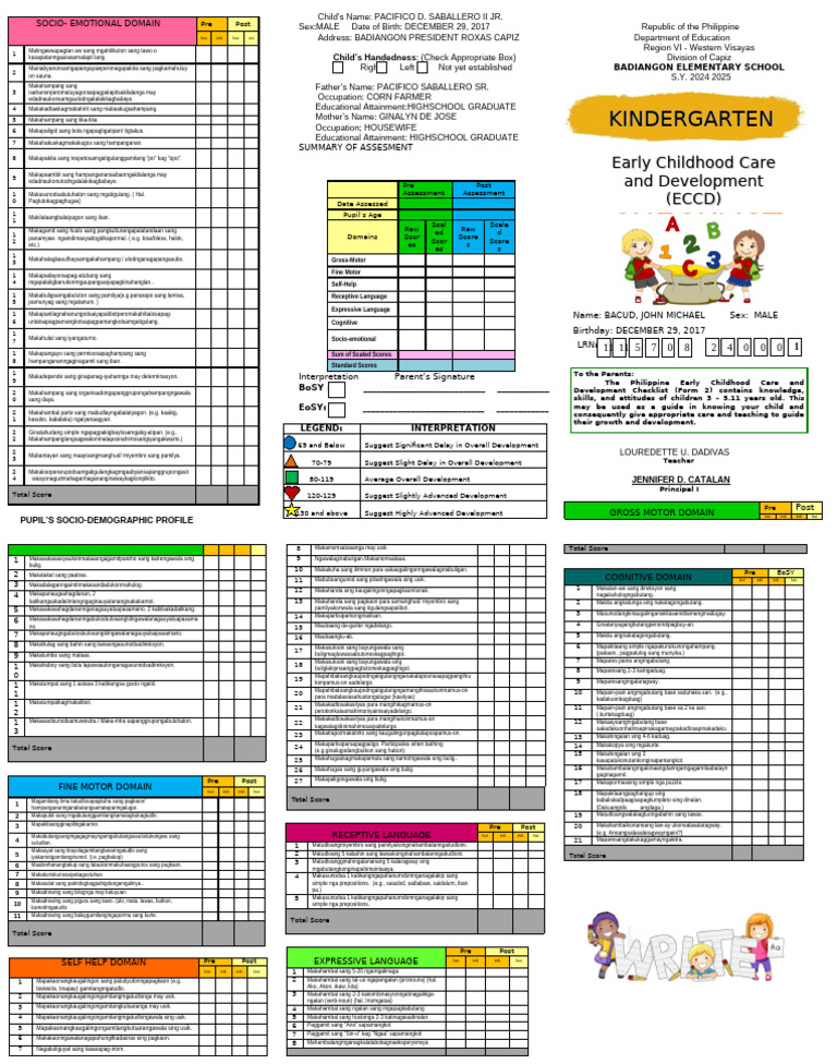 ECCD Checklist New Normal | PDF | Cognition | Human Development