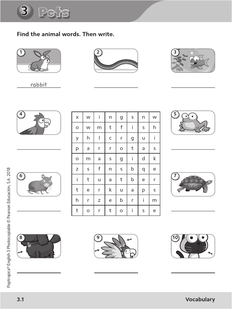 Fun Activities for Learning Pets Vocabulary | PDF | Zoology