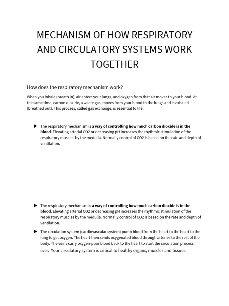 Respiratory & Circulatory Systems Explained | PDF | Circulatory System ...