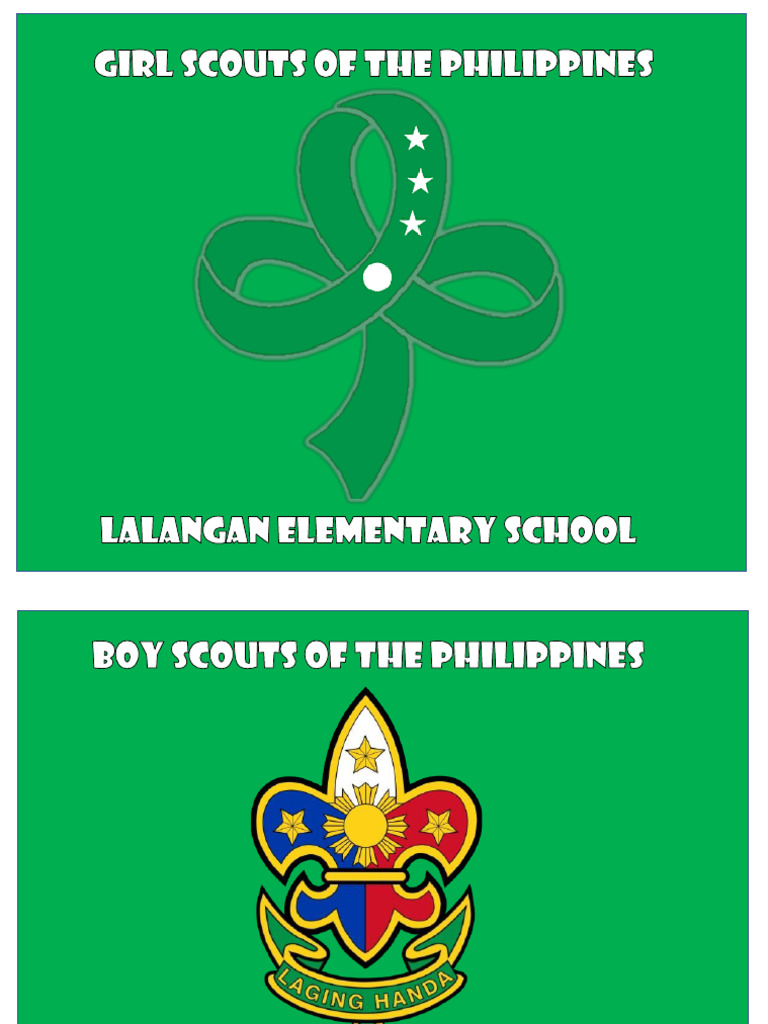 GSP and BSP Flag | PDF