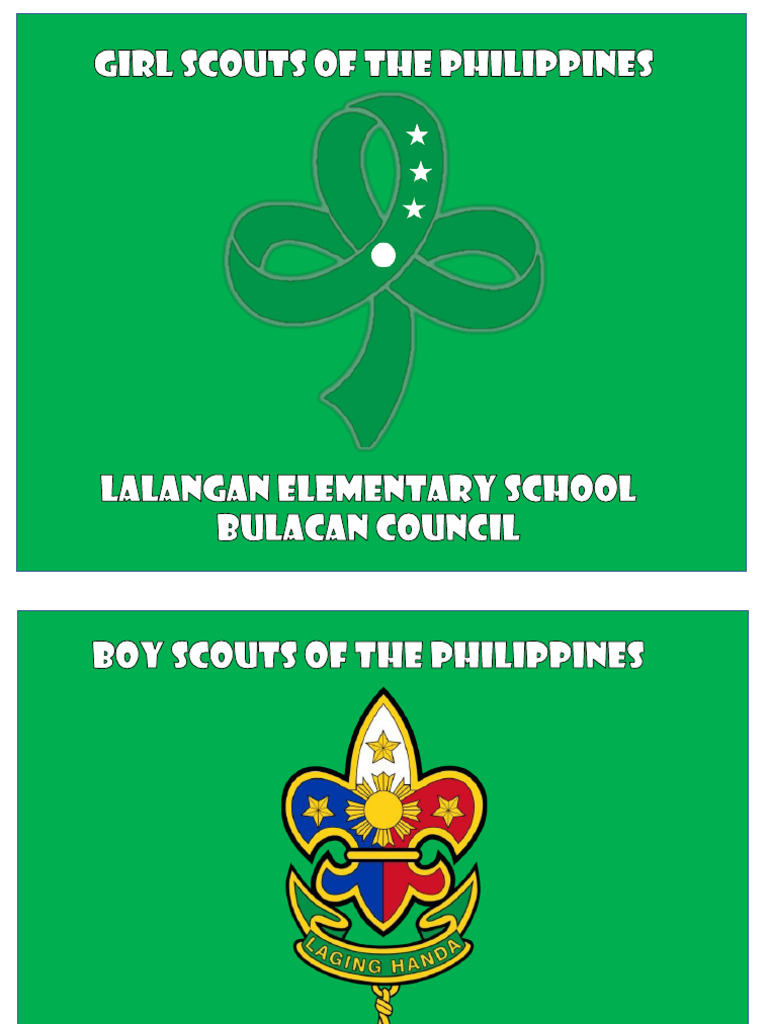 GSP and BSP Flag Final | PDF