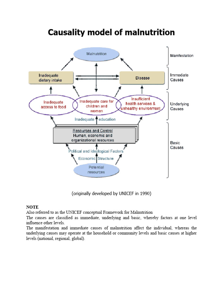 Causality Model of Malnutrition | PDF