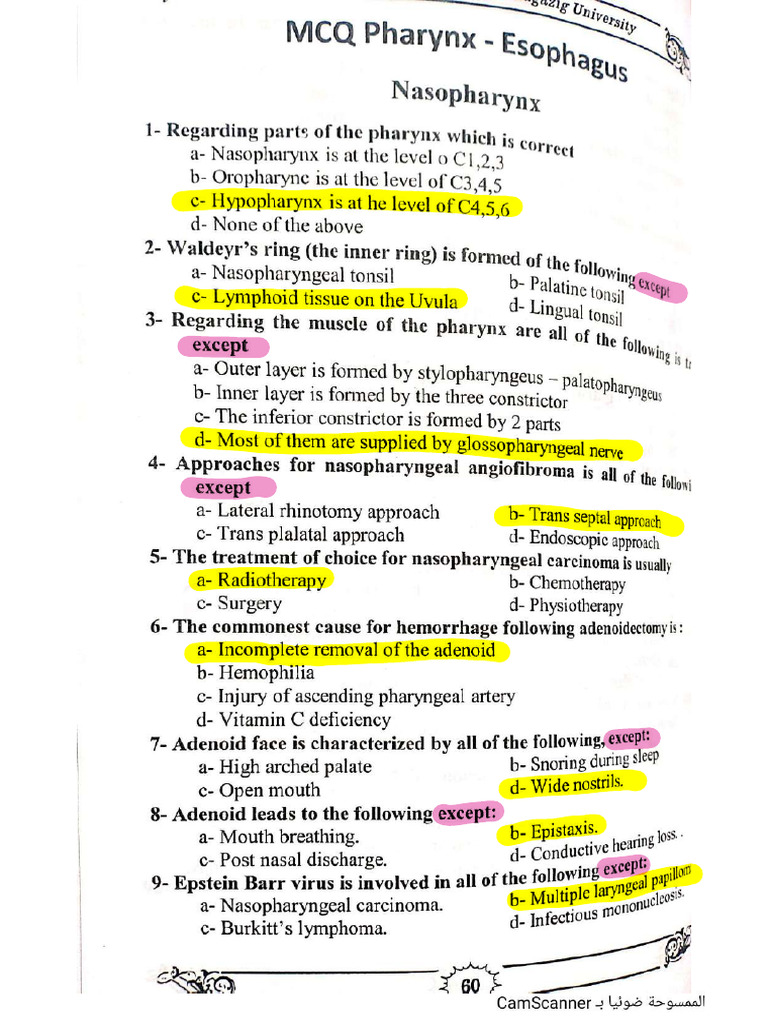 MCQ Rest | PDF