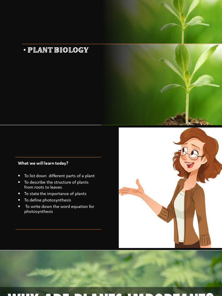 Plant Biology: Structure and Photosynthesis | PDF