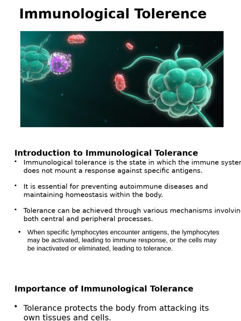 Immunological Tolerance 2 Pdf Immune Tolerance Immune System
