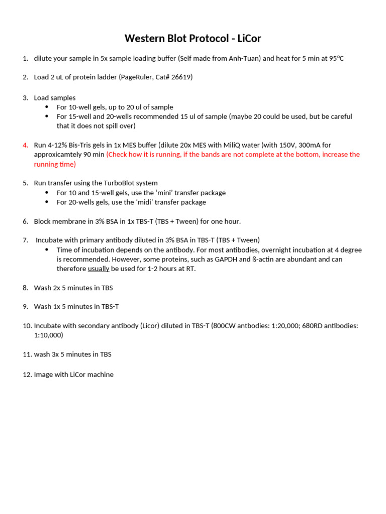 Western Blot Protocol - LiCor | PDF