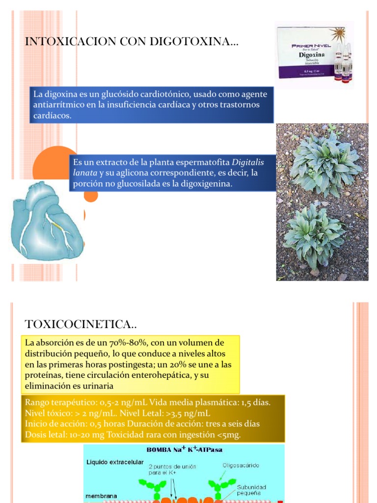 Intoxicacion Por Medicamentos Parte II | PDF | Drogas | Medicina CLINICA