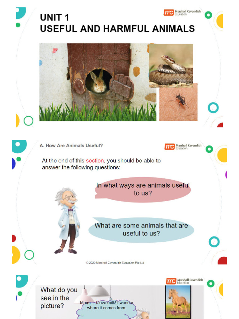 SCIENCE USEFUL HARMFUL ANIMALS | PDF